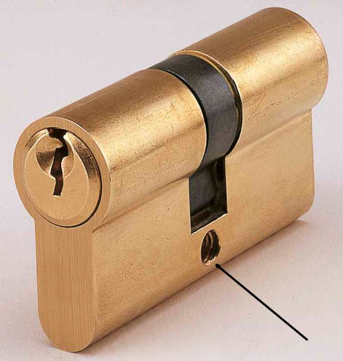 European Profile Cylinder with Anti Drill Pins and Plate | Viro Club